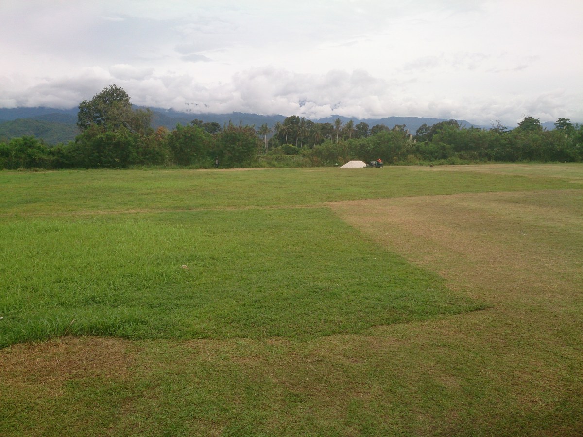 Rehabilitasi Padang « Turf Matters
