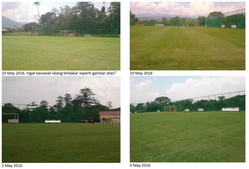 Rehabilitasi Padang « Turf Matters